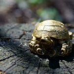 Feng Shui World Map In Bedroom | Feng Shui New